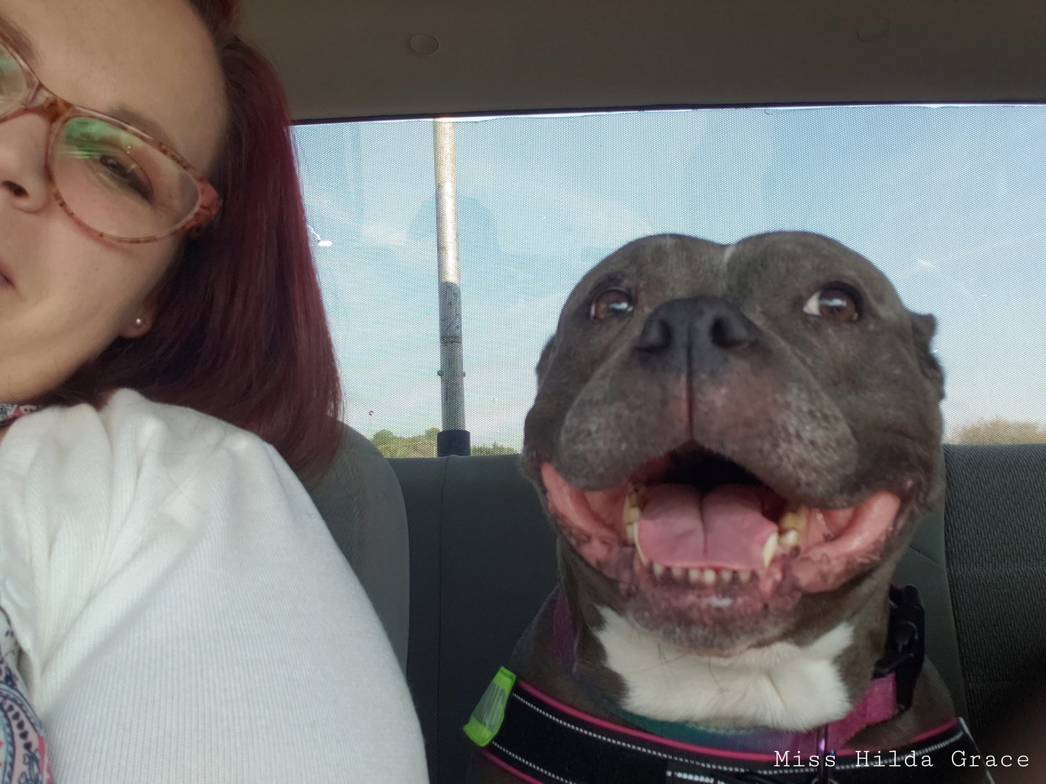 Ms. Be-Havin’ – Miss Hilda Grace