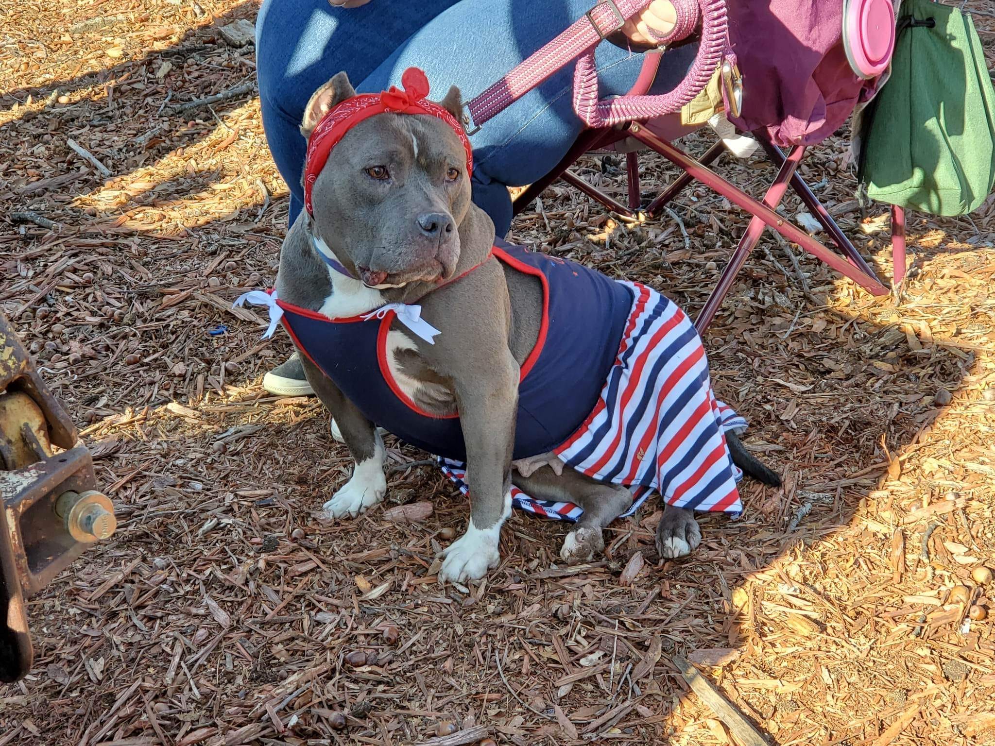 Ms. Be-Havin’ – Miss Hilda Grace