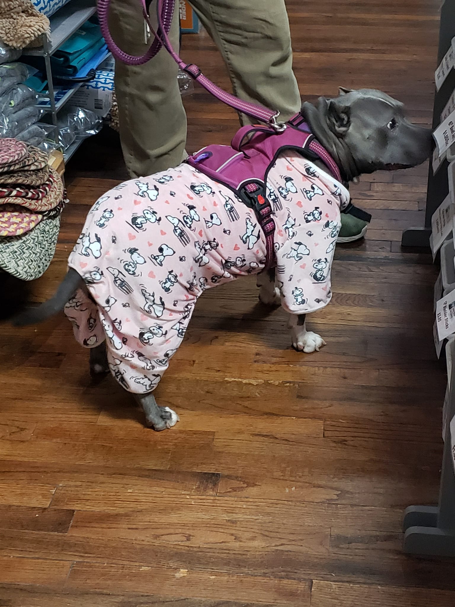 Ms. Be-Havin’ – Miss Hilda Grace